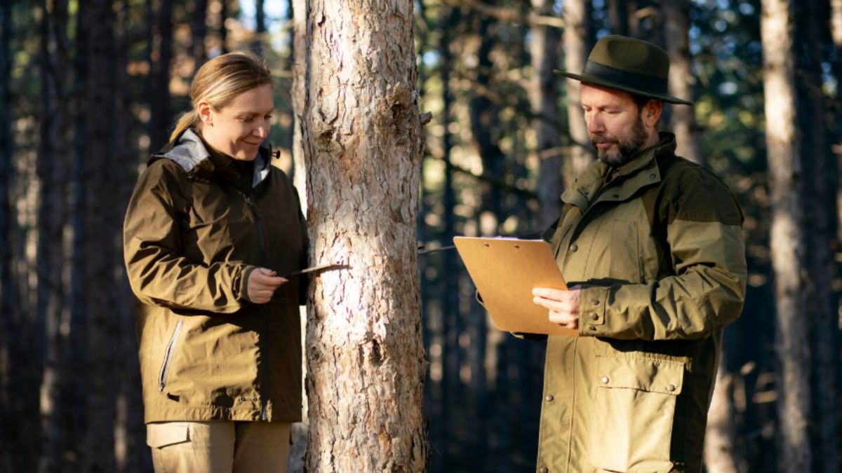 The Importance of Viltnemnda in Promoting Sustainable Hunting Practices